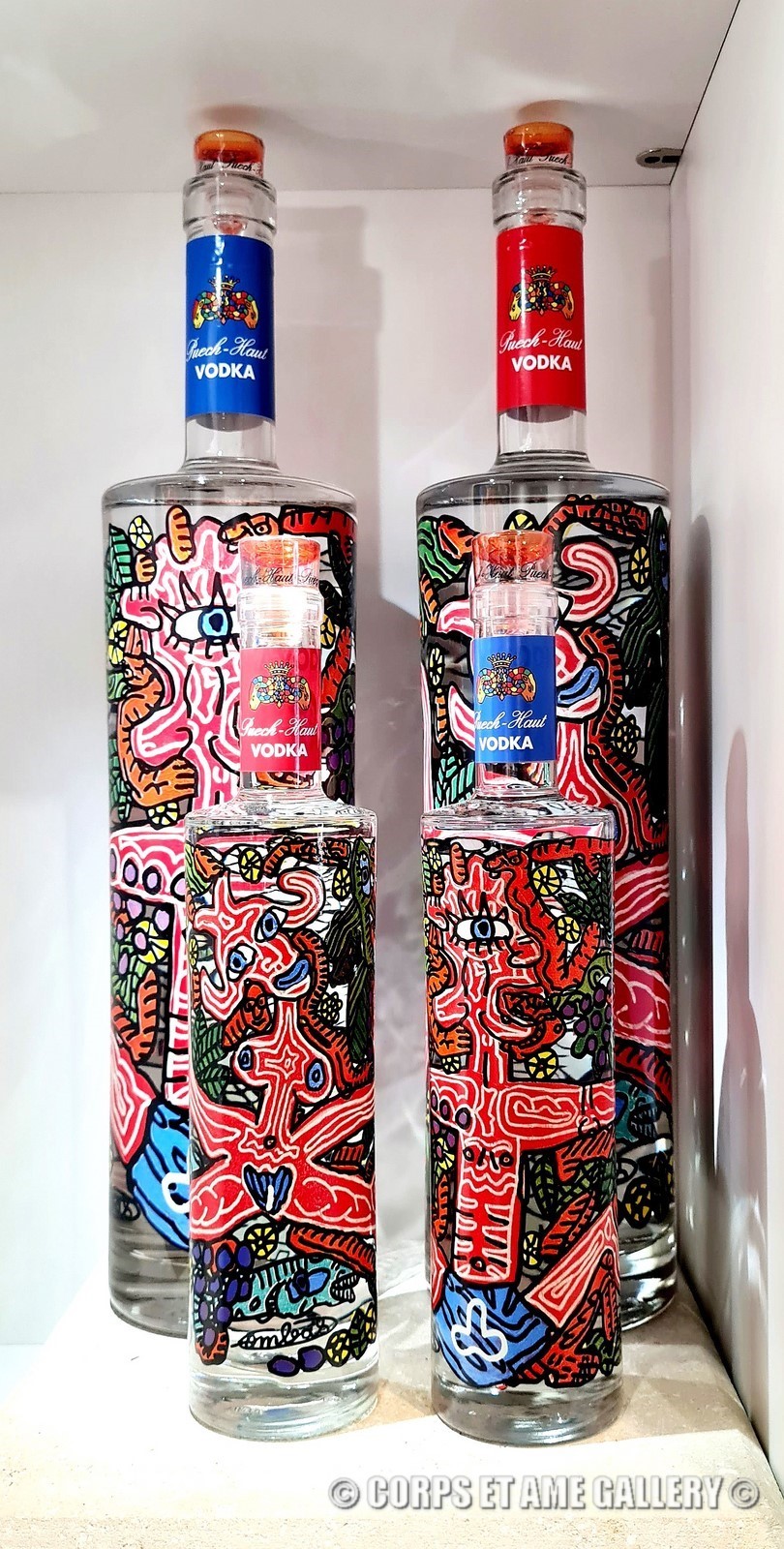 COFFRET 2 BOUTEILLES VODKA + CATALOGUE COMBAS.